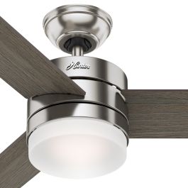 Hunter Fan 54 inch Contemporary Ceiling Fan with Remote Control in ...